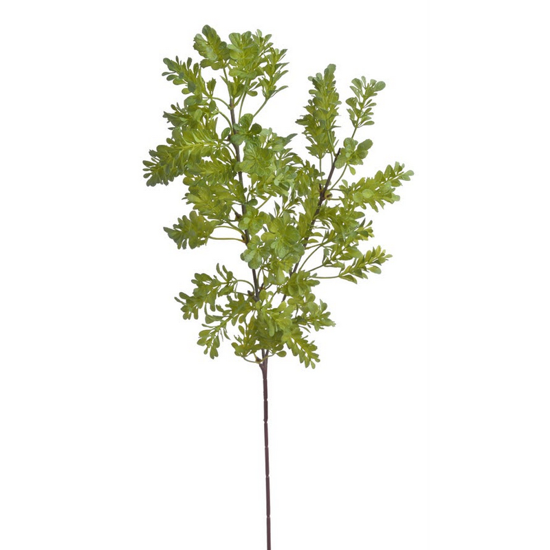 ΚΛΑΔΙ ΦΥΛΛΩΔΕΣ ΠΥΞΑΡΙ 70CM, ΠΡΑΣΙΝΟ-ΚΑΦΕ
